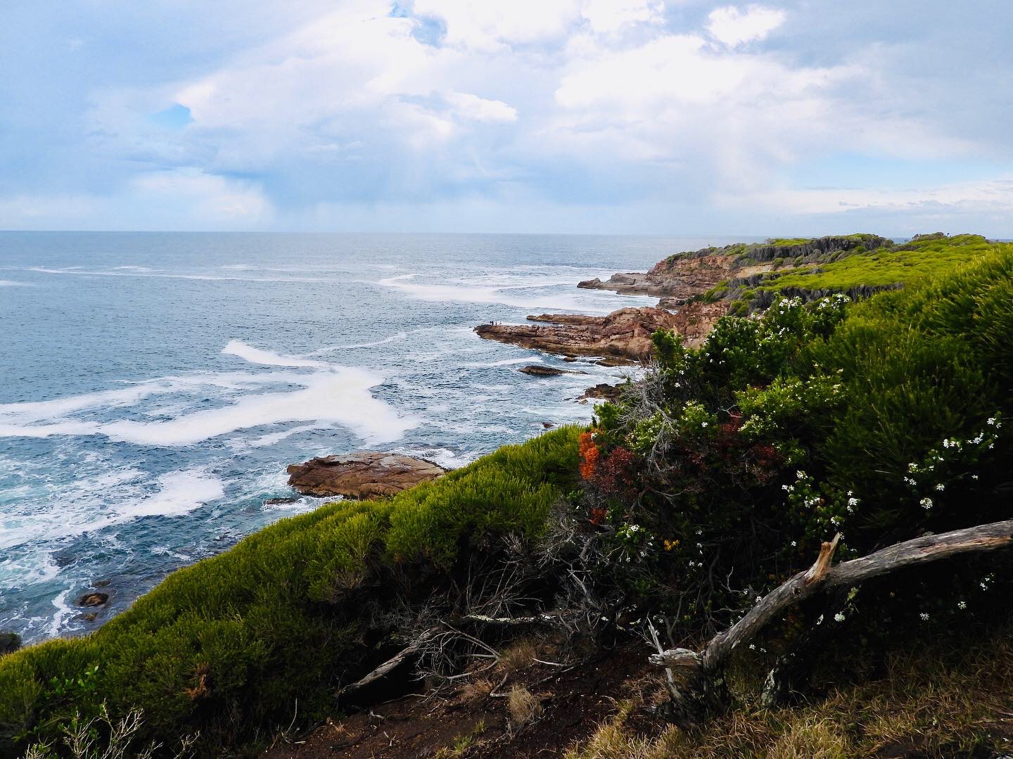 Merimbula – Living Learning Exploring